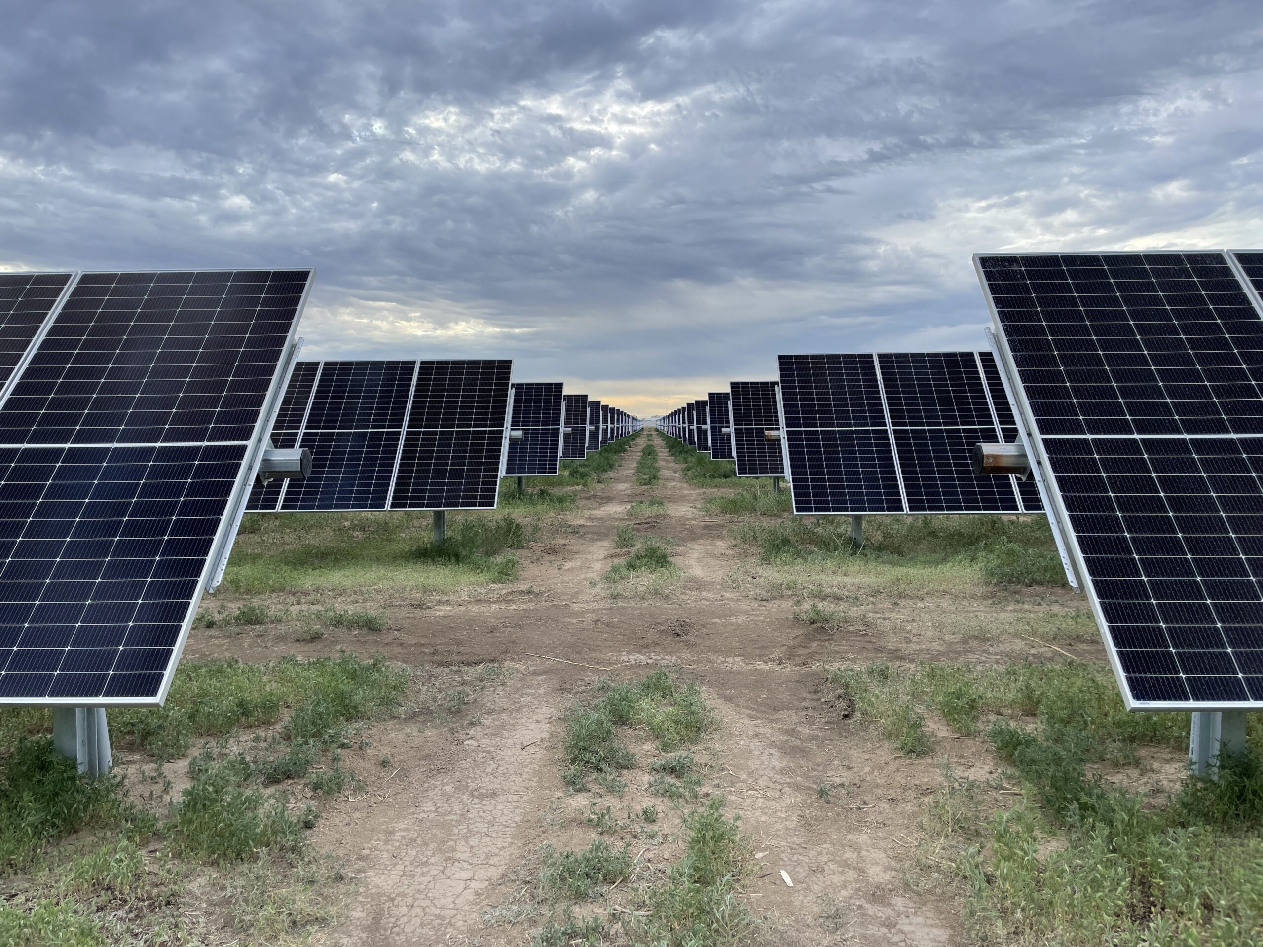 Vestas Partners With McKinstry for Onsite Solar